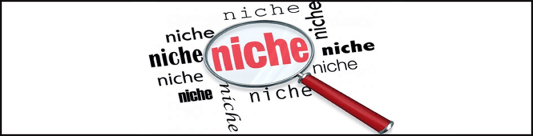Definition Of A Niche Market – How To Find Your Perfect Niche ...